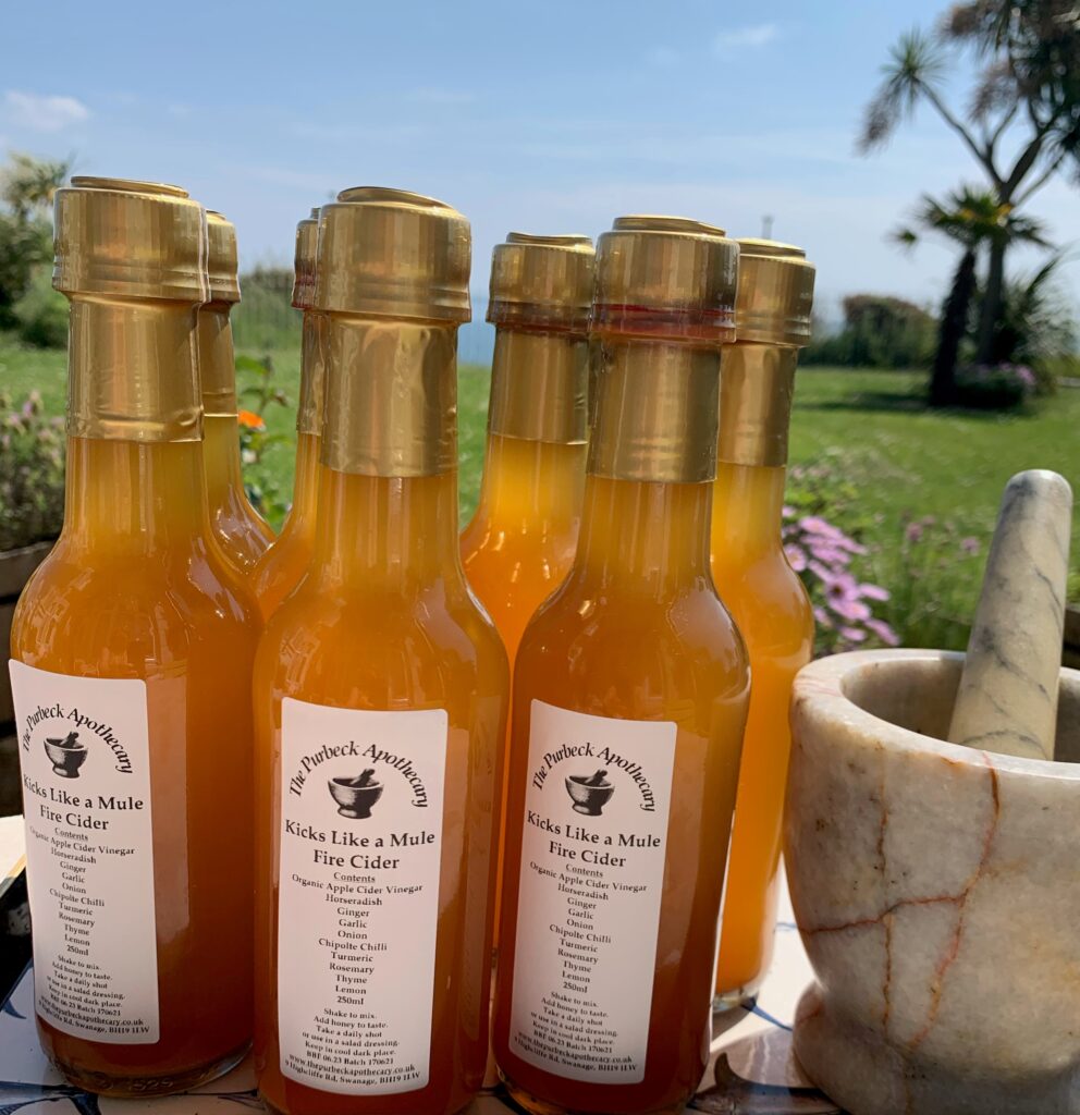 Kicks Like A Mule Fire Cider – The Purbeck Apothecary
